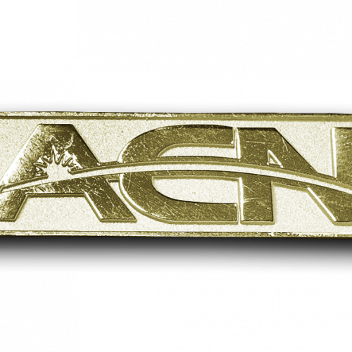 Pins – Conxxion Resources