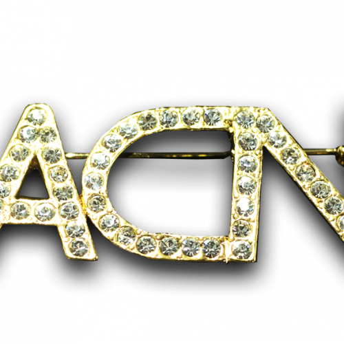 Pins – Conxxion Resources