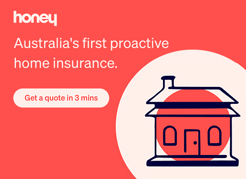 Honey Insurance – Conxxion Resources